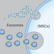 Skin Stenz Cells - Bloom Planet